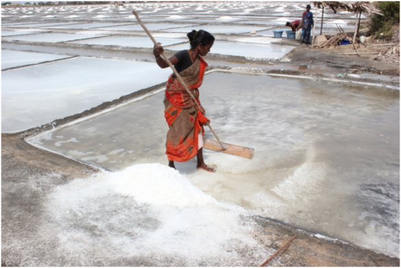 The Story of Vedaranyam Salt Satyagraha Unfolded - YFI Blogs